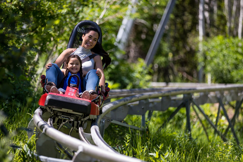 Alpine Coaster | atelier-yuwa.ciao.jp