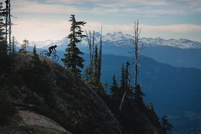 G1 Rentals Whistler - Downhill Mountain Bike Rentals